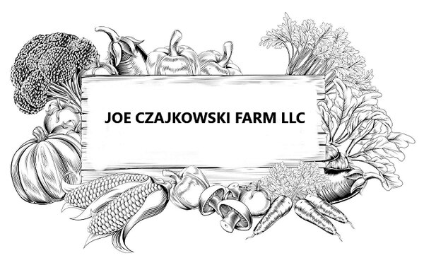 Czajkowski Farm / Noodles, Butternut, Fresh / Bulk, 10# bagged